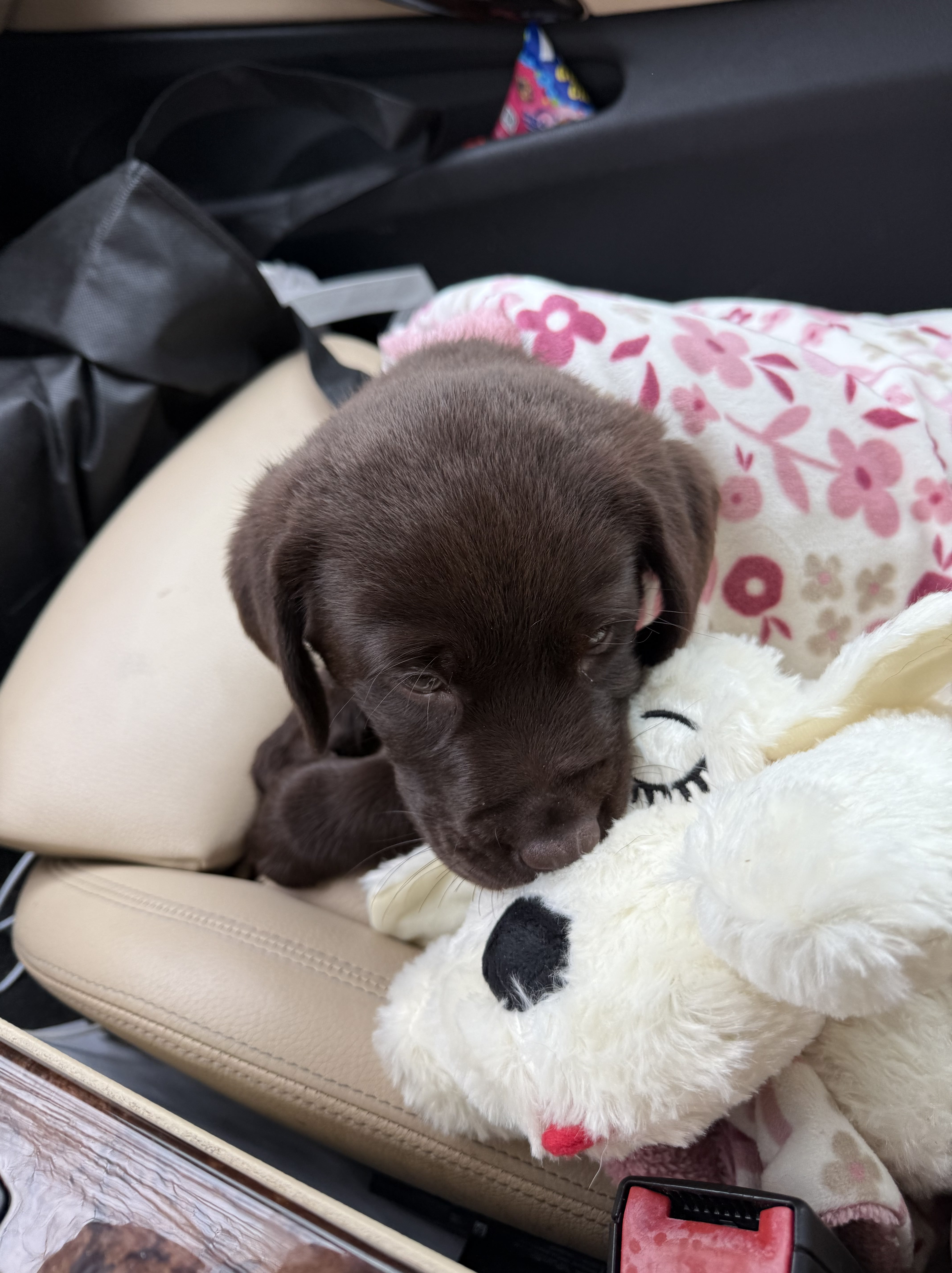 A day of powerful mixed emotions with a lesson learned. – keithdblog